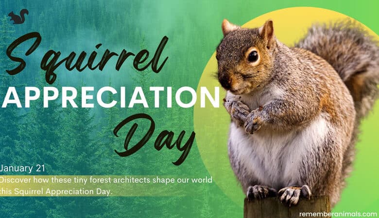 Squirrel Appreciation Day 2026 - Remember Animals